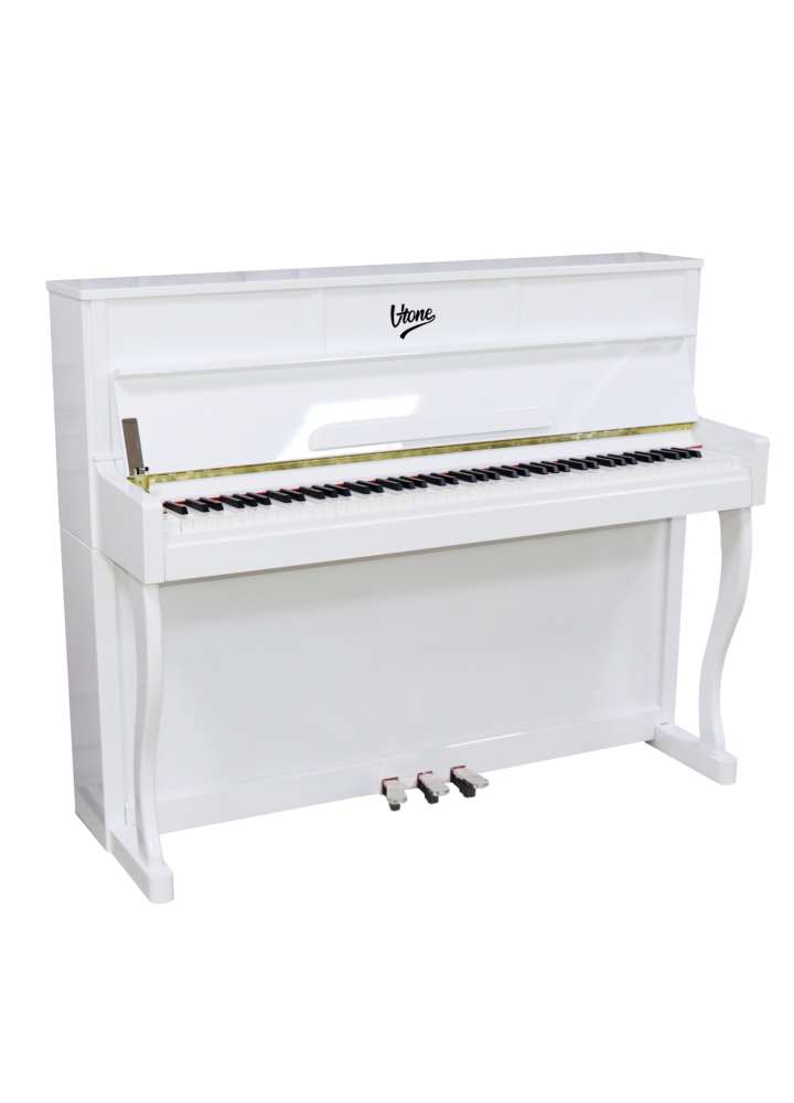 Profesjonalne instrumenty muzyczne